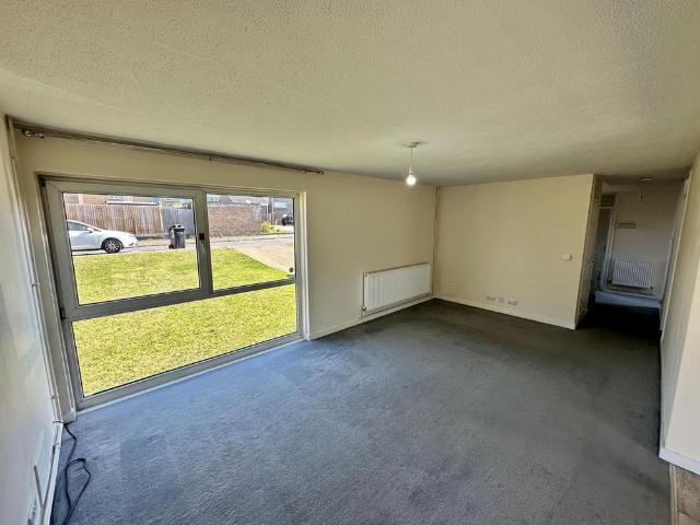 4 bedroom house to rent