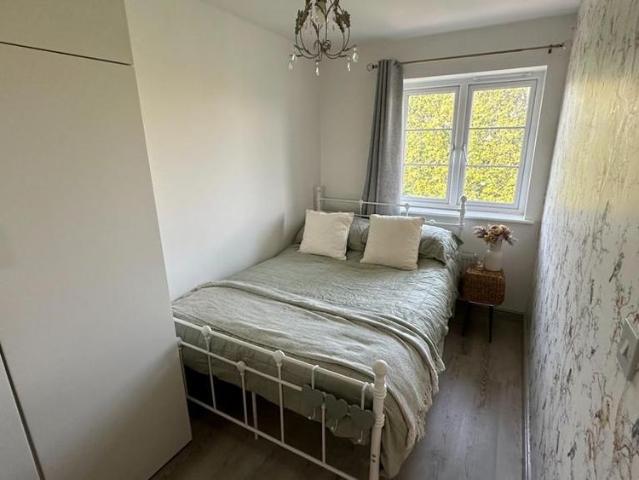 4 bedroom house to rent