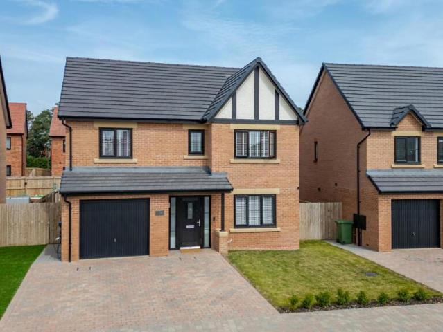 4 bedroom house to rent