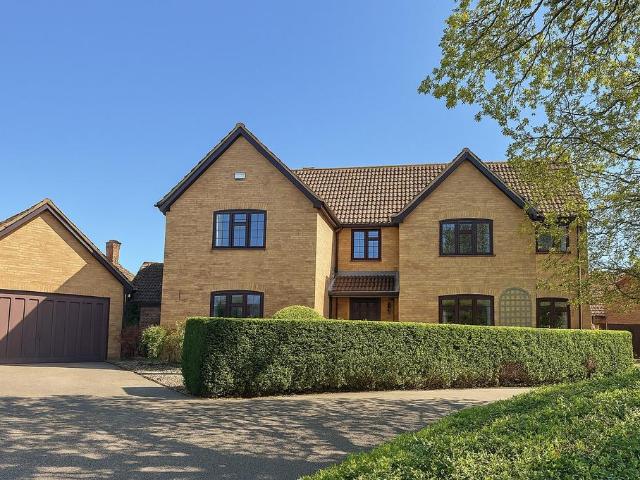 4 bedroom house to rent