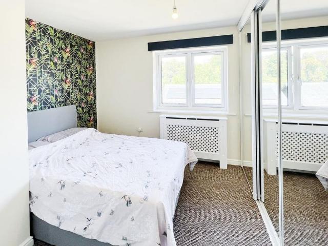 4 bedroom house to rent