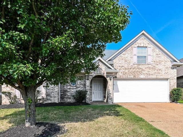 4 Bedroom Home for Rent at 4091 Becky Sue Trl, Olive Branch, MS 38654