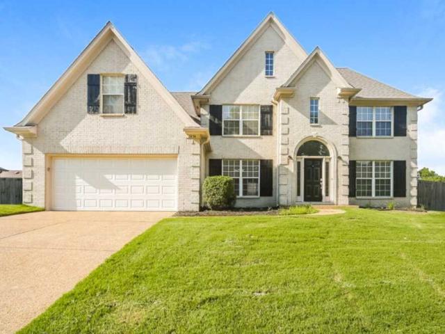 4 Bedroom Home for Rent at 6454 Coleman Rd, Olive Branch, MS 38654