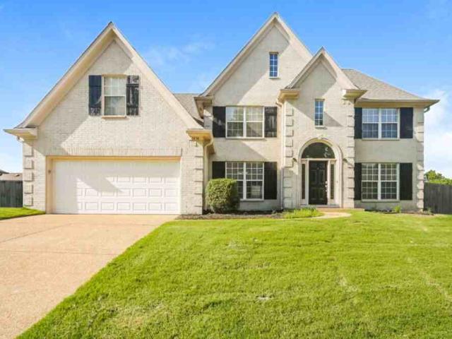 4 Bedroom Home for Rent at 6454 Coleman Rd, Olive Branch, MS 38654