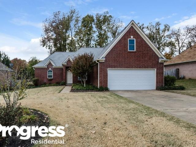4 Bedroom Home for Rent at 8595 Bell Ridge Dr, Olive Branch, MS 38654