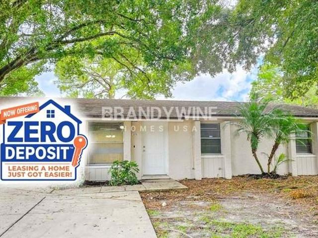 4 Bedroom Home for Rent at 3716 Ambermist Dr, Tampa, FL 33619