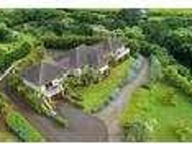 4 Bedroom Homes For Rent Makawao HI