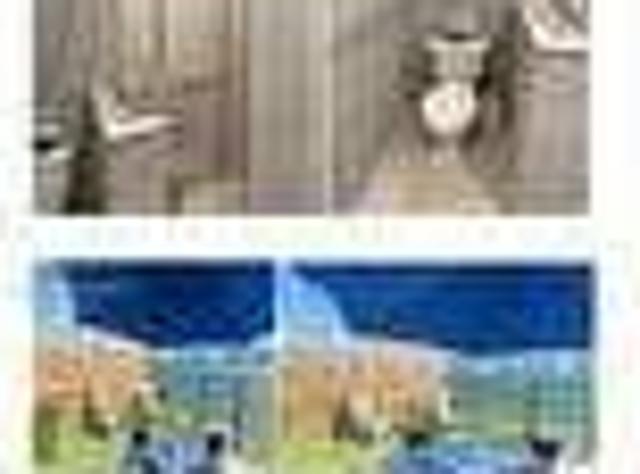 4 Bedroom Homes For Rent Miami FL