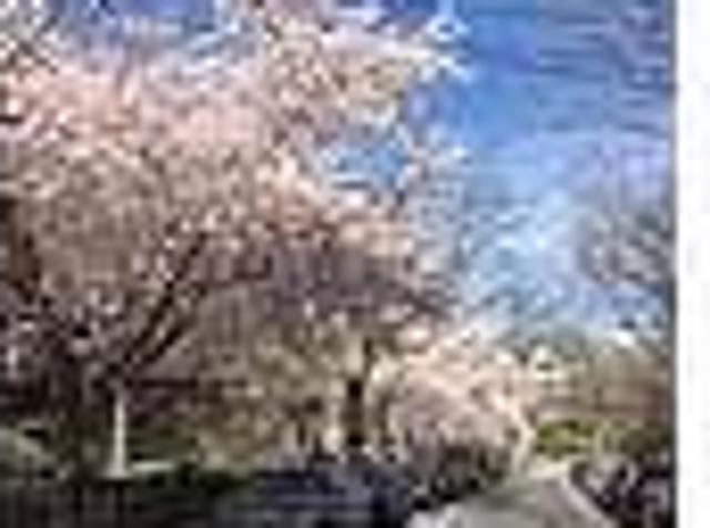 4 Bedroom Homes For Rent Washington DC