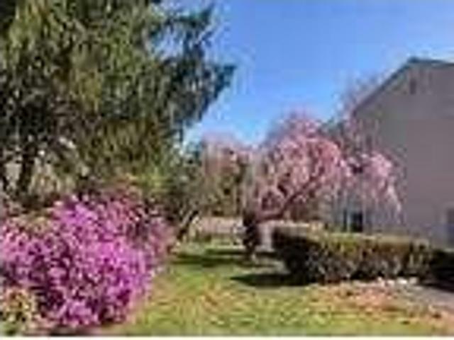 4 Bedroom Homes For Rent Westwood MA