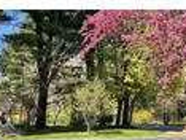 4 Bedroom Homes For Rent Westwood MA