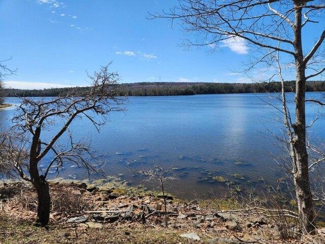 4 bedroom, Orland ME 04472 LS102668279