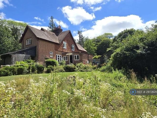 4 bedroom semi detached house to rent