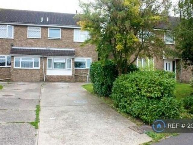 4 Bedroom Semi detached House For Rent In Colchester