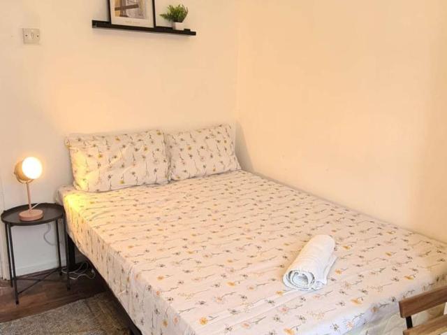 4 Bedroom Shared Living/roommate London London 101834902