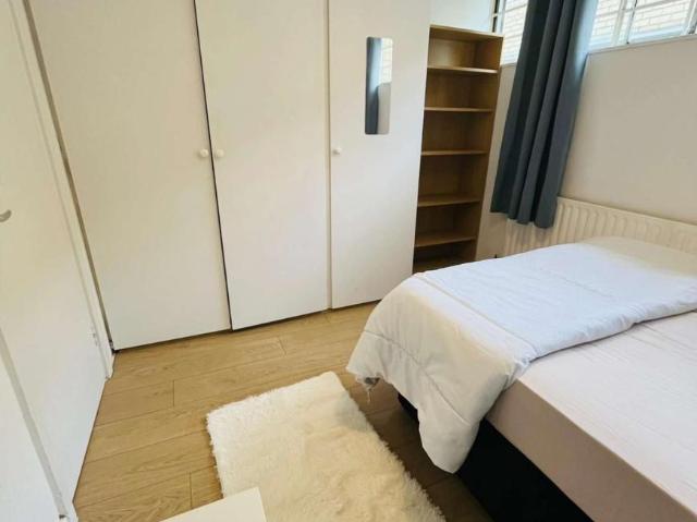 4 Bedroom Shared Living/roommate London London 103803471