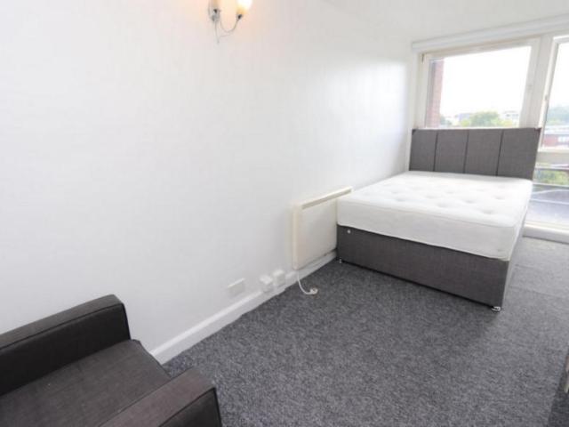 4 Bedroom Shared Living/roommate London London 90559369
