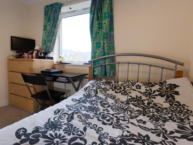 4 Bedroom Shared Living/roommate London London 90562775