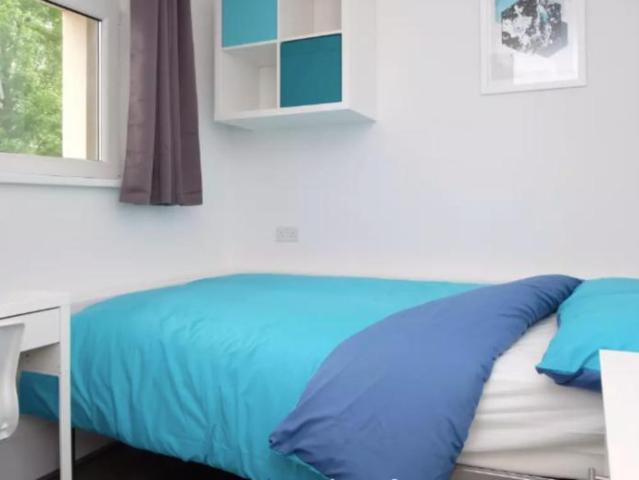 4 Bedroom Shared Living/roommate London London 90563133
