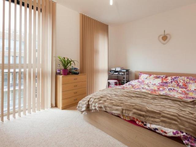 4 Bedroom Shared Living/roommate London London 90563295