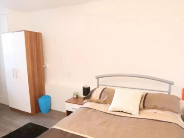 4 Bedroom Shared Living/roommate London London 90563303