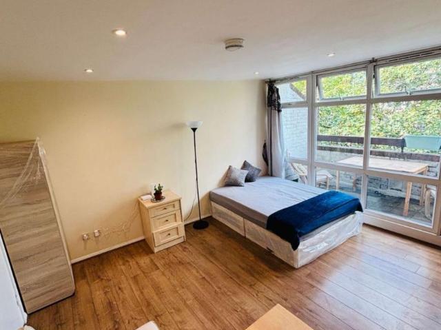 4 Bedroom Shared Living/roommate London London 94829640