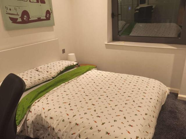 4 Bedroom Shared Living/roommate London London 97099991