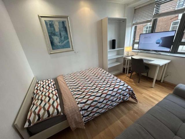 4 Bedroom Shared Living/roommate London London 99798682