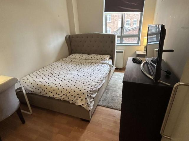 4 Bedroom Shared Living/roommate London London 99799356