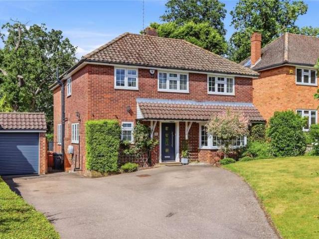 4 Bedroom Studio Flat