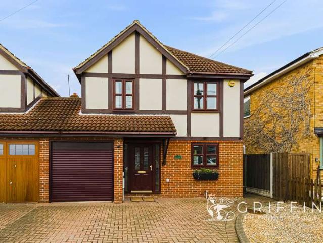 4 Bedroom Studio Flat