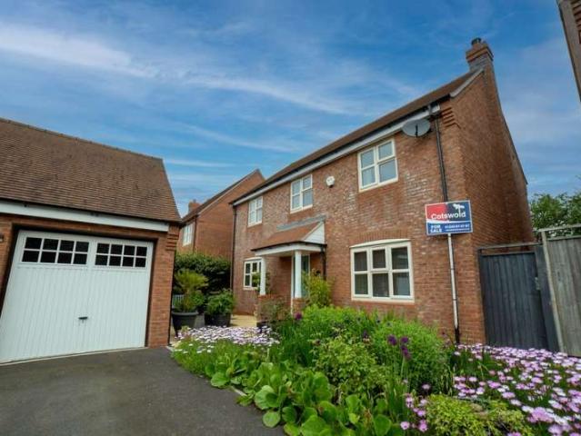 4 Bedroom Studio Flat