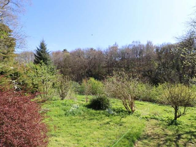 4 Bedroom Plot Commercial
