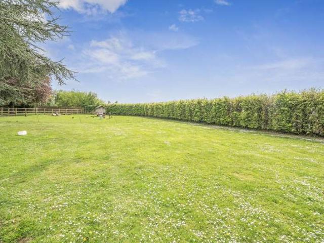 4 Bedroom Plot Commercial