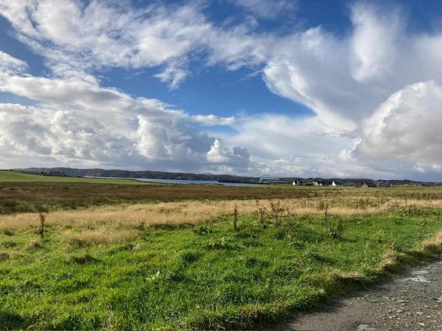 4 bedroom property with land for sale