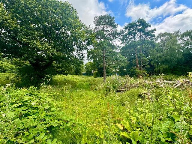 4 bedroom property with land for sale