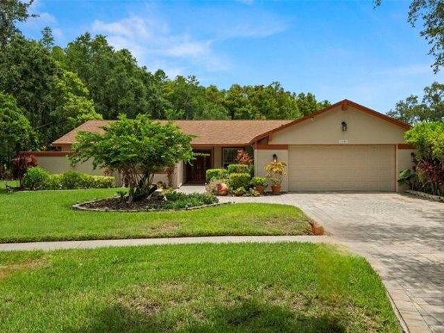 4 bedroom, Tampa FL 33618 92438525
