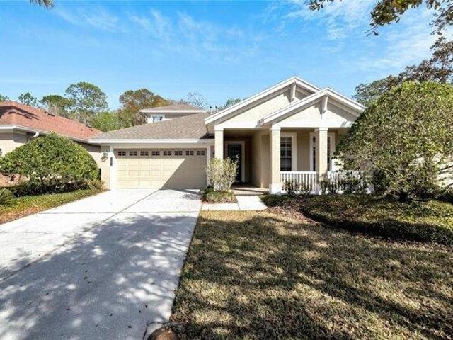 4 bedroom, Tampa FL 33647 89814223