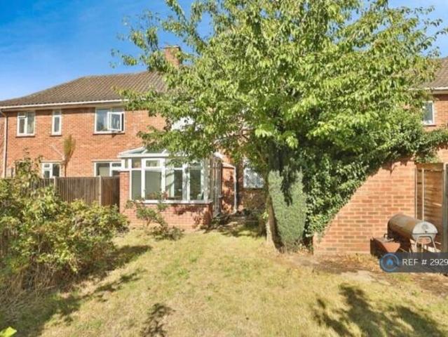 4 bedroom terraced house for rent in Wycliffe Road, Norwich, NR4