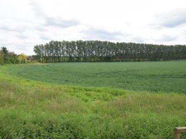 4 Bedrooms Link detached house for sale in Lower Road, East Farleigh, Maidstone, Kent ME15