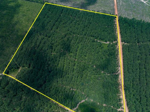 4 Benny Griffin Rd, Livingston, TX 77351 | MLS #73287 | Compass
