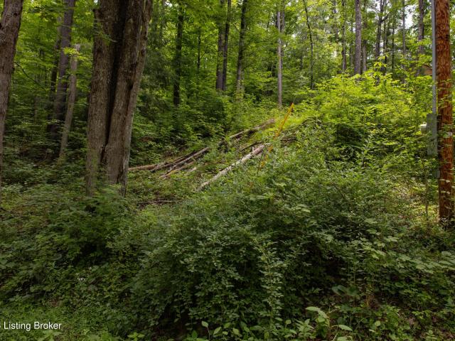 4 Black Bear Ridge Rd