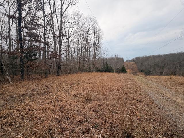 4 Blue Bird Ct