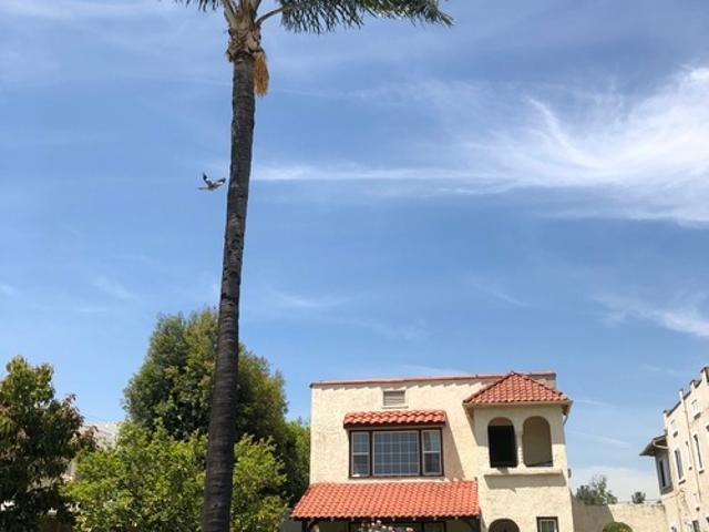 4 BR, 1.5 BA Apartment 1841 S 8th St, Unit none, Alhambra, CA 91803