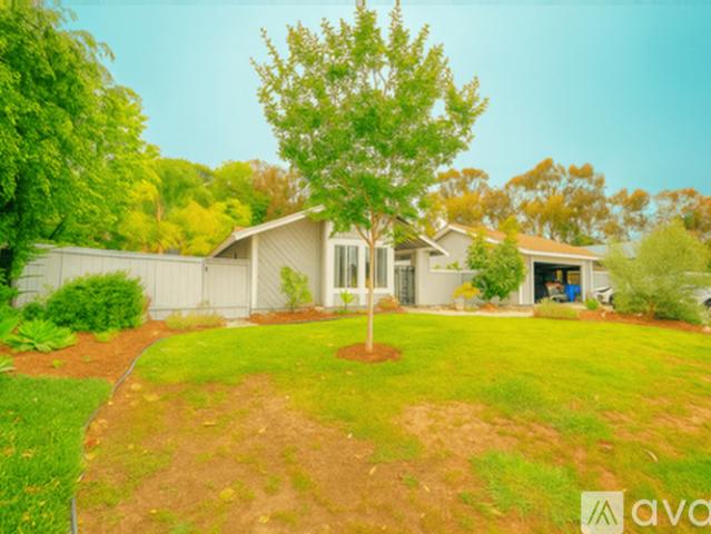 4 BR, 2.5 BA Apartment 1029 Silver Stallion Dr, Vista, CA 92081