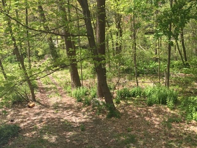 4 BR, 2.5 BA Apartment 24 Riverside Drive, Ridgefield, CT 06878