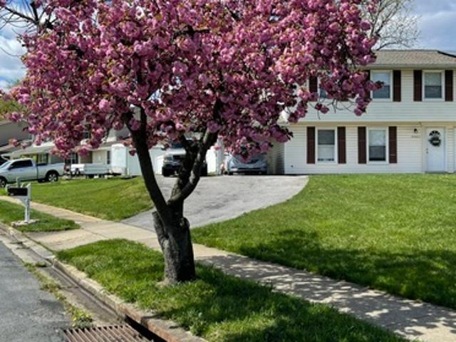 4 BR, 2.5 BA Apartment 2501 Maytime Drive, Gambrills, MD 21054