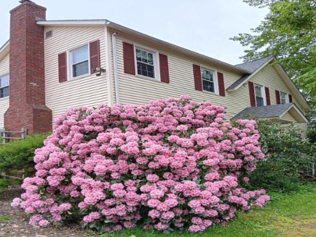 4 Br, 2 bath, Condo 605 Old Wellington Road