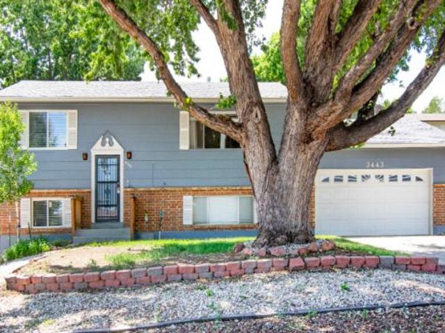 4 Br, 2 bath, Single Family 3443 Amador Circle