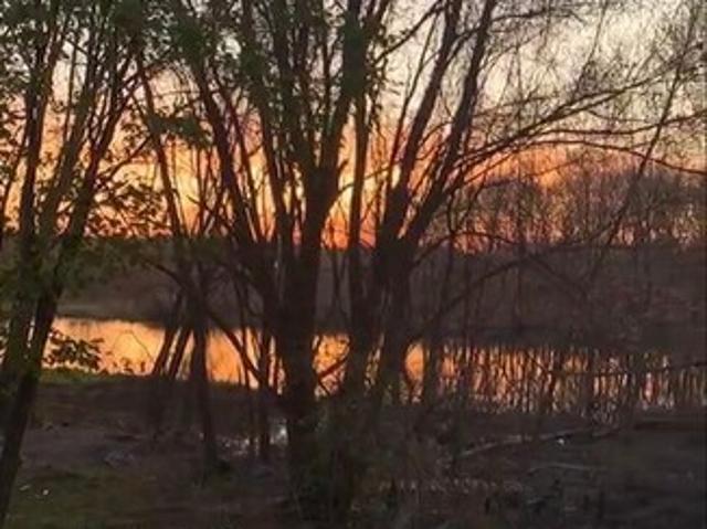 4 BR, 2 BA Apartment 57 Maynard Road, Dedham, MA 02026
